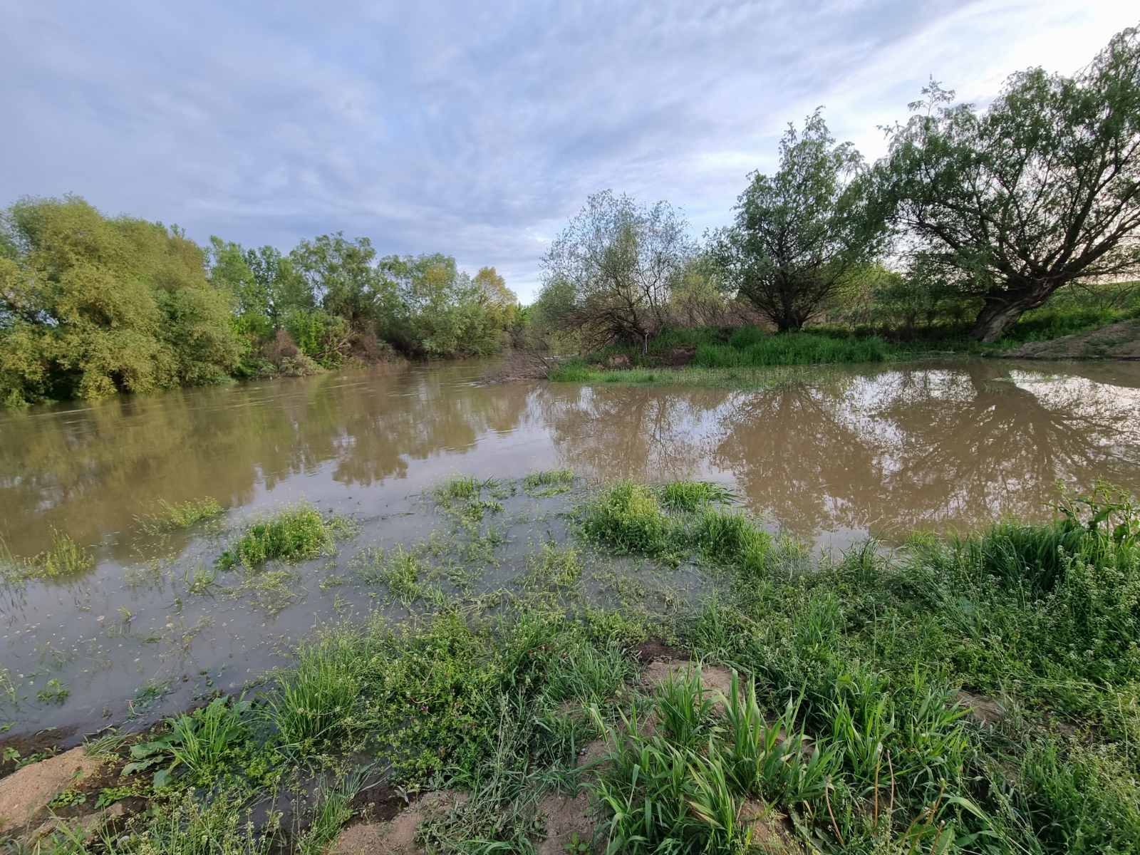 Košenje podvodne biljne vegetacije u Vojvodini počinje u prilu | LovaLova